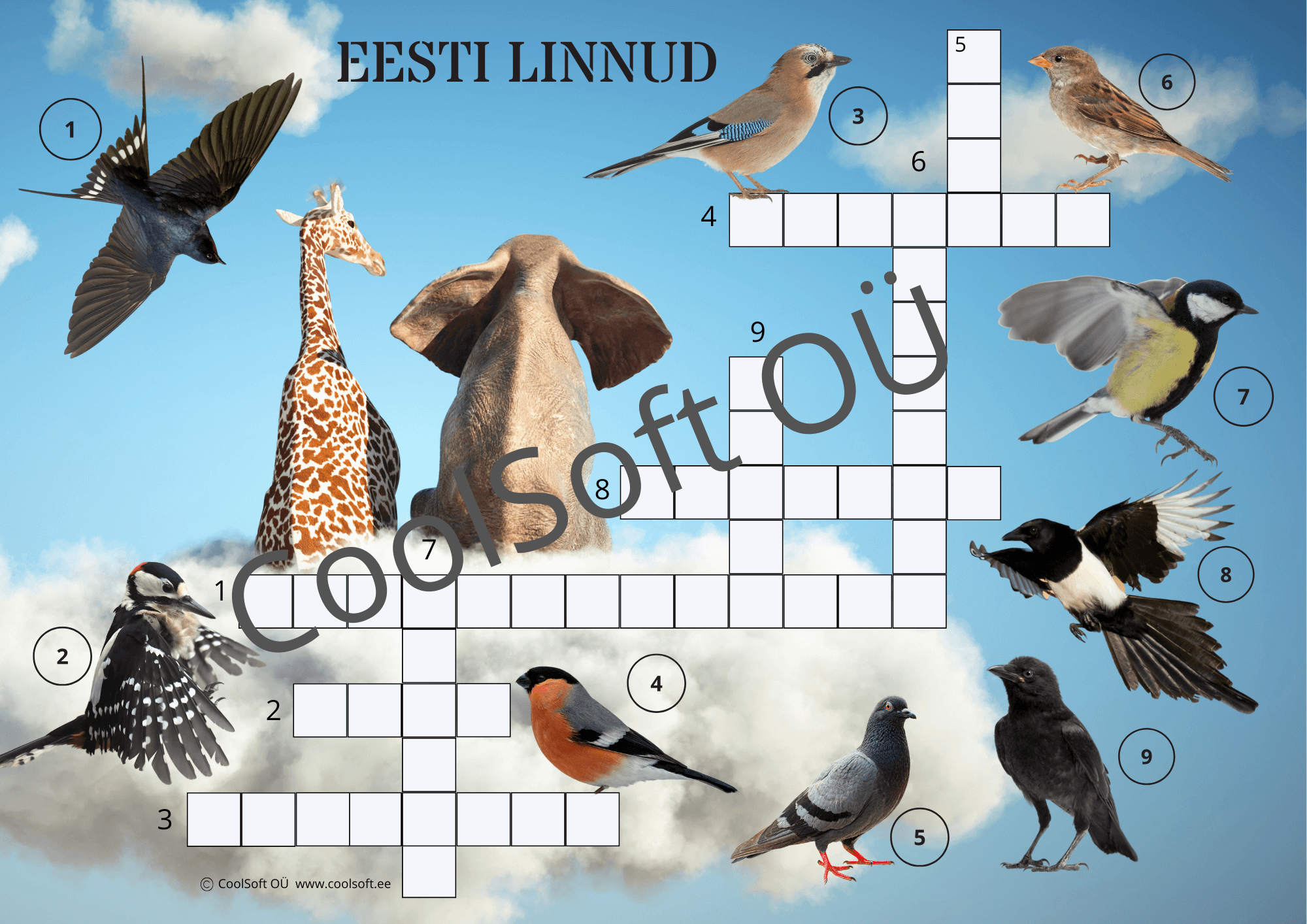 Tööleht nr 9- Eesti lindude ristsõna - Õppematerjalid lastele